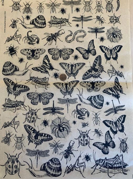 A Bugs Life - bugs and beetles - Pottery Ceramic Underglaze Transfers ...